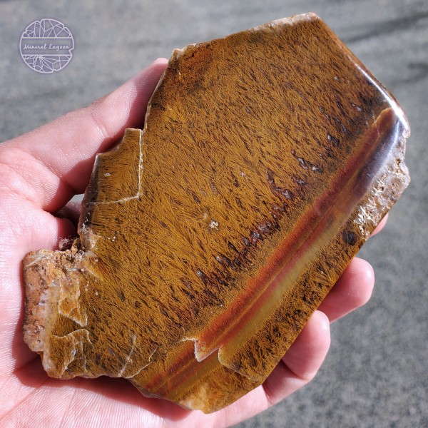 Sagenite Agate