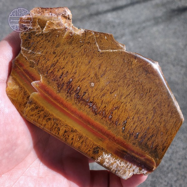 Sagenite Agate